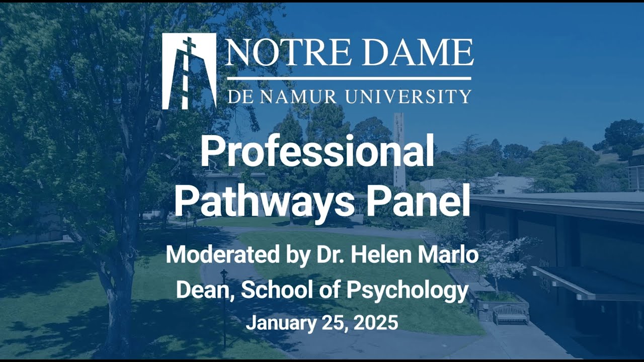 Professional Pathways Panel - YouTube