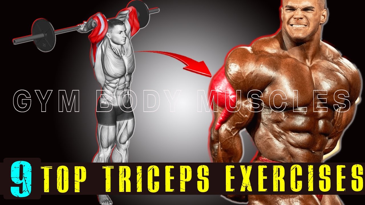 Top Workout for Triceps to grow BIG ARMS - Gym Body Muscles - YouTube