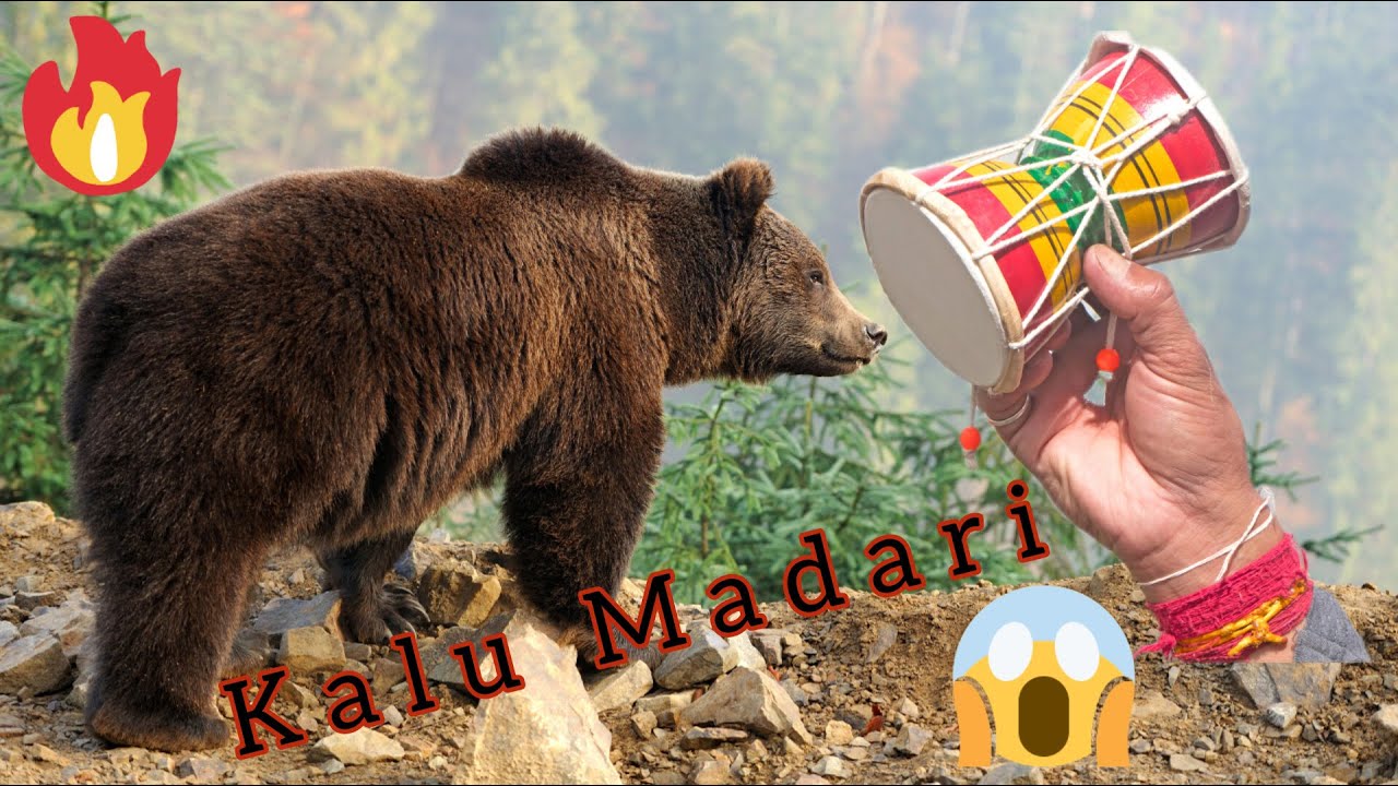 Kalu Madari Aya I Hindi Nursery Rhymes I कालू मदारी आया I kalu madari ...