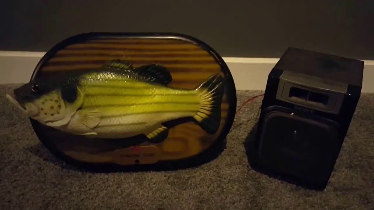 Singing fish speaker modded! - YouTube