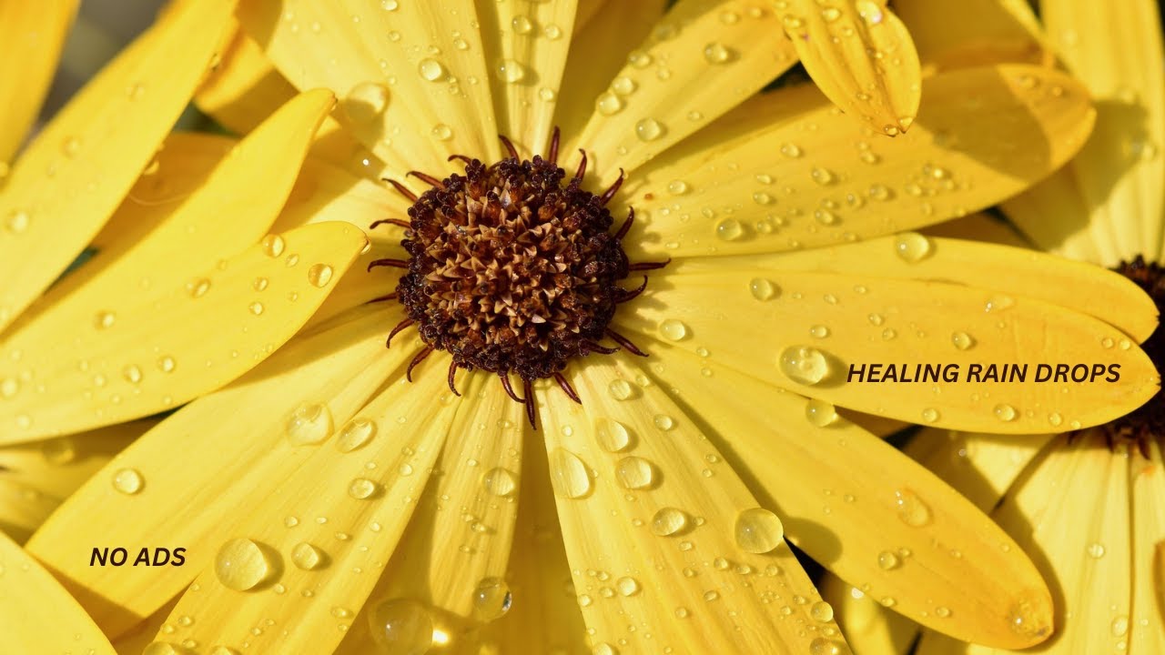HEALING RAINDROP | WHITE NOISE | HIGH QUALITY SOUND TO SLEEP, STUDY AND ...