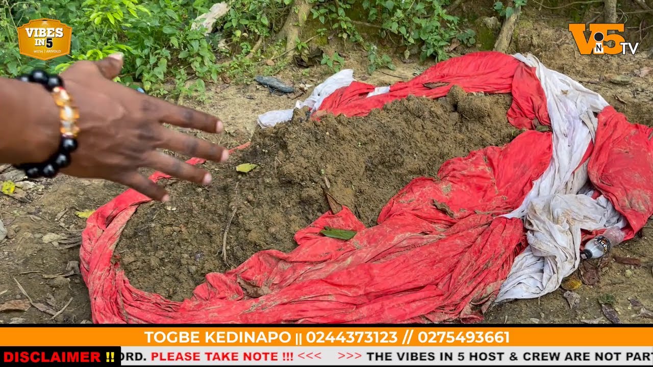 This is how Togbe berid a big cow alive before the gods granted ...