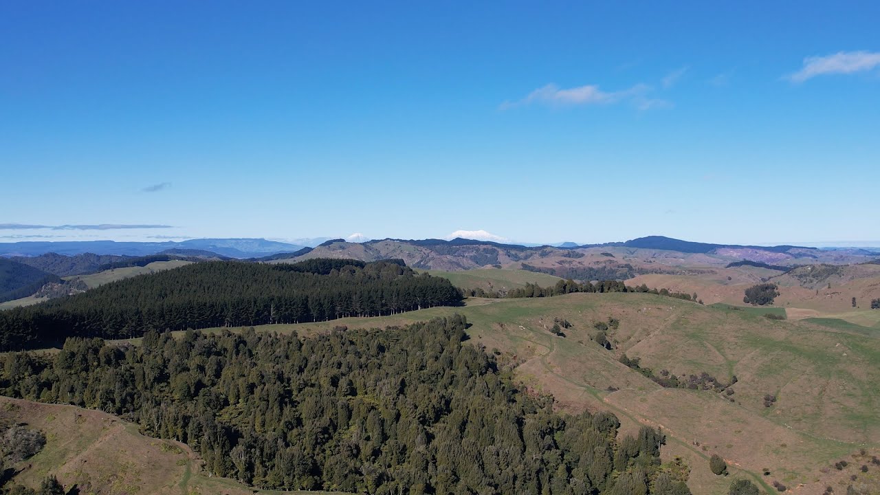 2021 Snake Gully - YouTube