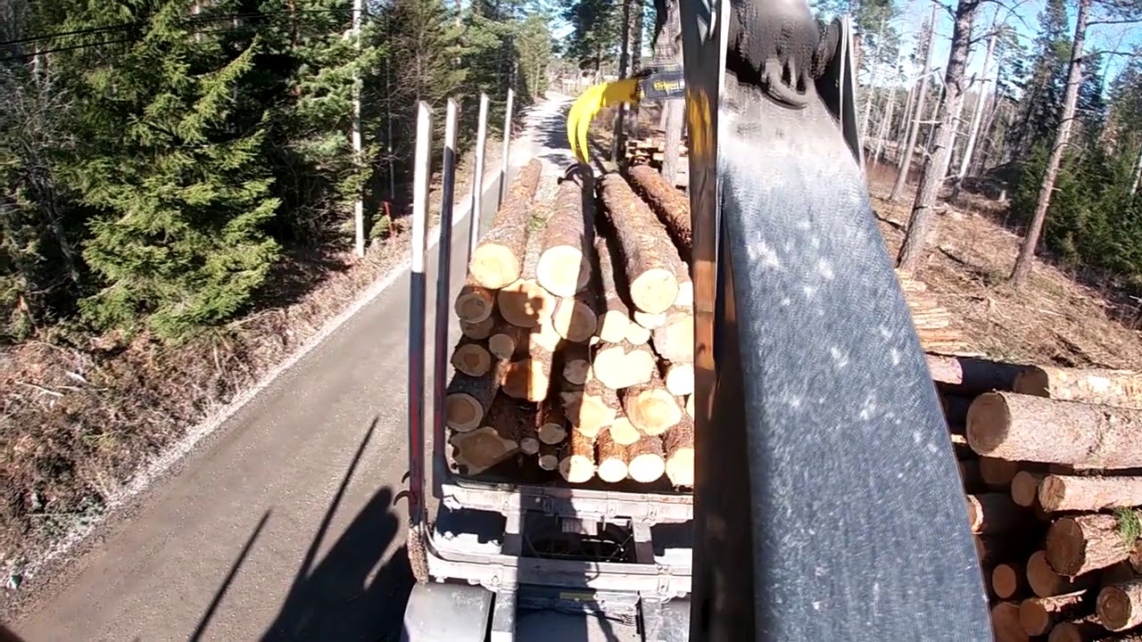Loading and unloading Timber #1 - YouTube