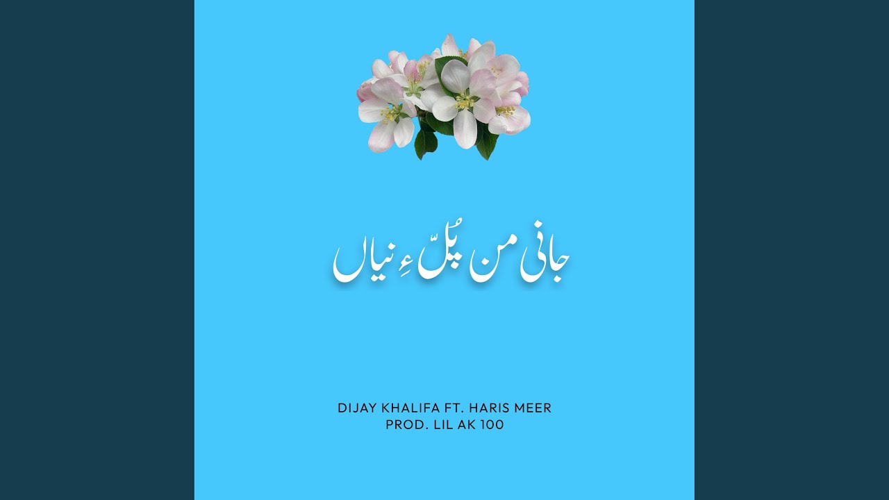 JANI MAN POLLE NAYA (feat. Haris Meer & Lil Ak 100) - YouTube