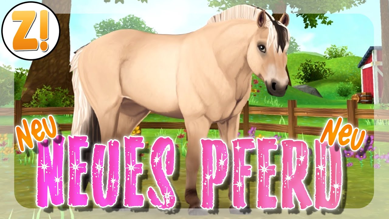 NEUES PFERD! 🐴 SSO HORSES | Star Stable - YouTube