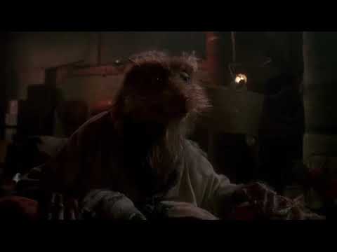 Hamster time (Hamster Kombat listing) prikol