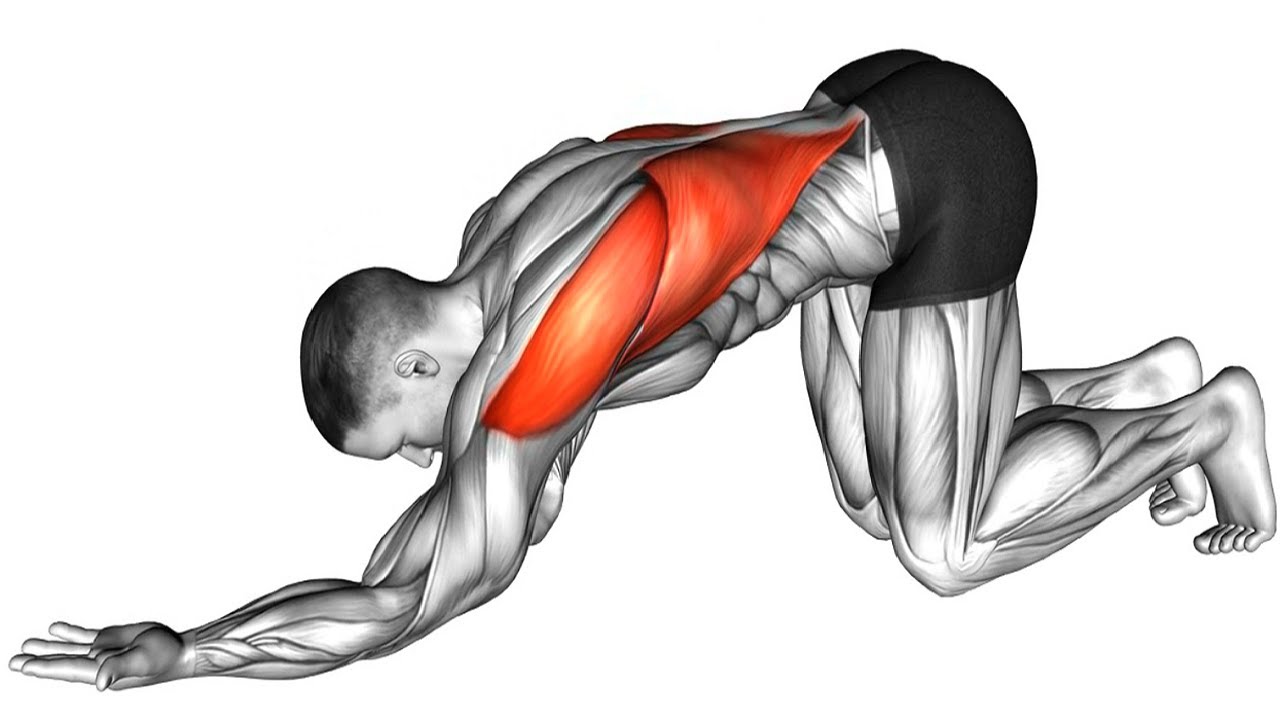 Effective Exercises for Back Pain Relief: Strengthen and Soothe Your ...