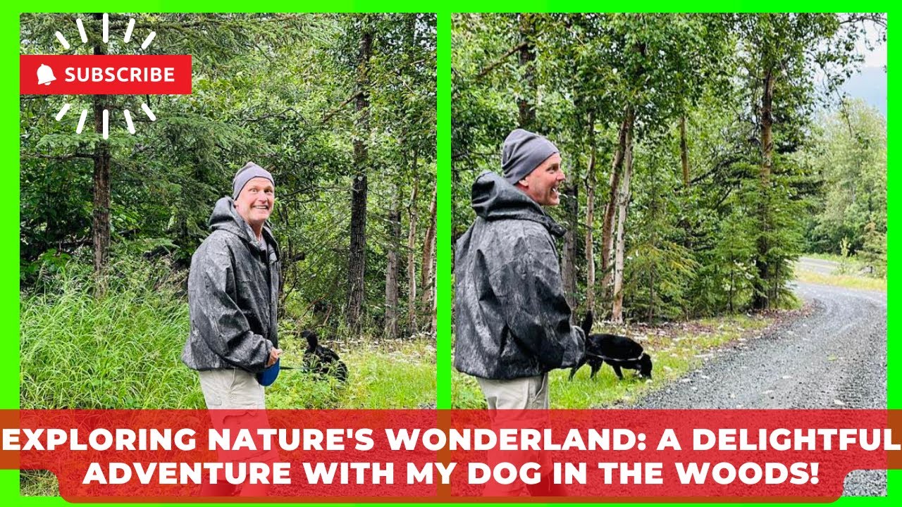 Exploring Nature's Wonderland: A Delightful Adventure with My Dog in ...