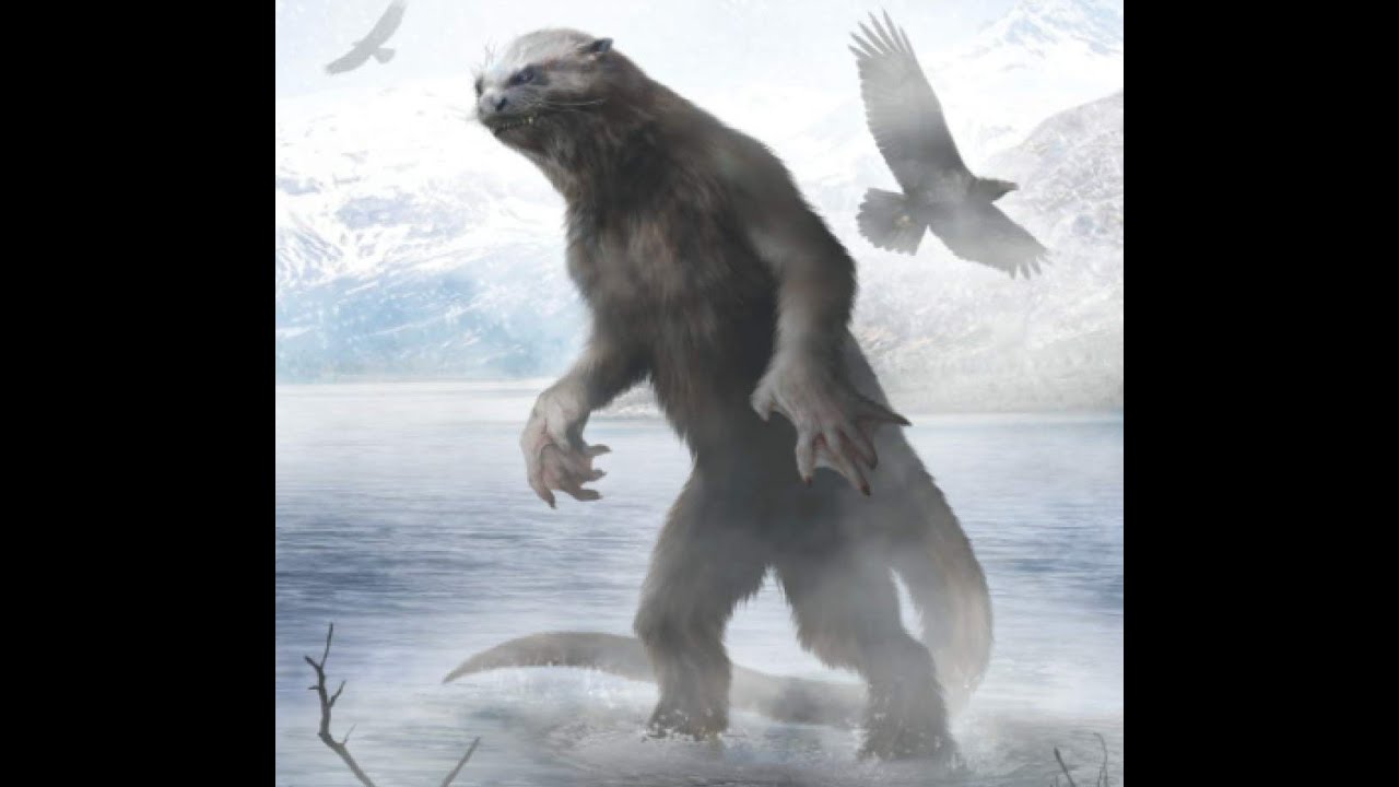 Robin Haynes McCray Is Back! Conversation Includes: Bigfoot, Otterman ...