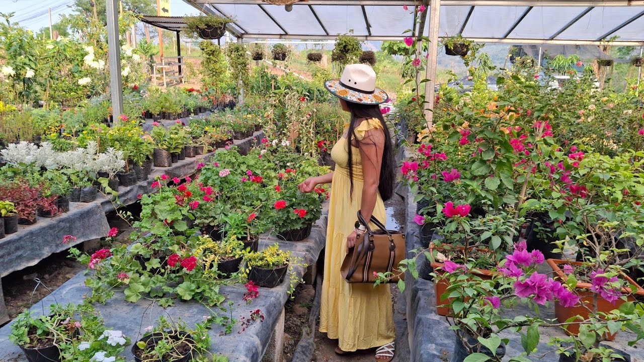 TOUR POR UN VIVERO EN LA ENTRADA ACOPÁN | PLANTAS | FLORES 💐 - YouTube