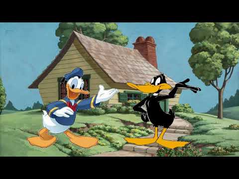 Donald Duck meeting Daffy Duck