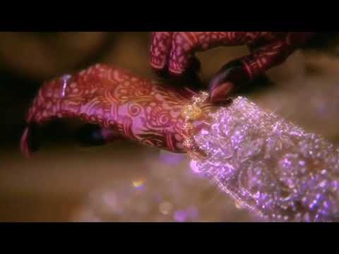 Zaalima status video