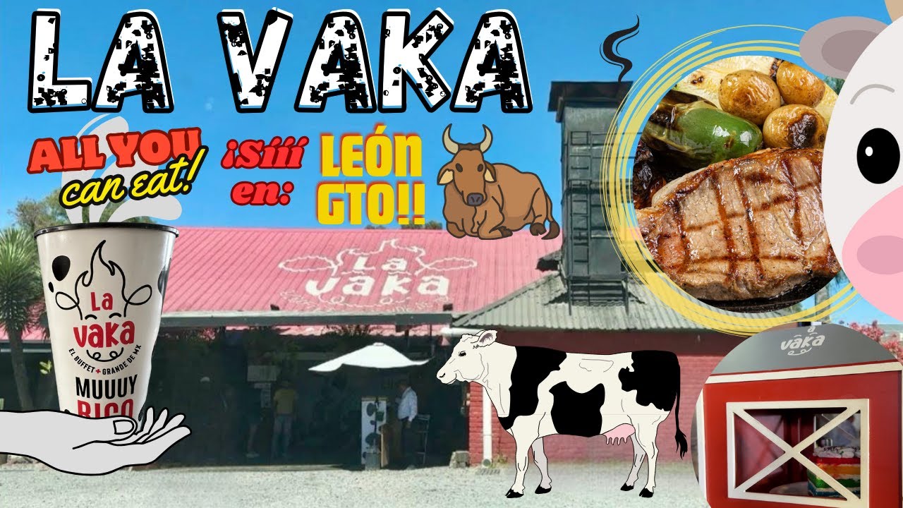 QUE ONDA CON: LA VAKA LEÓN. ¿¿El mejor BUFFET?? - YouTube