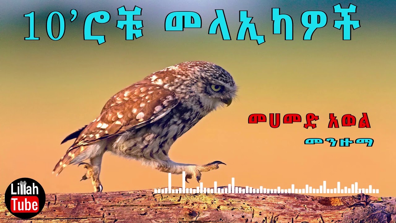 10ሮቹ መላኢካዎች በመሀመድ አወል || Melaikawoch Menzuma By Mohammed Awol 2020 ...