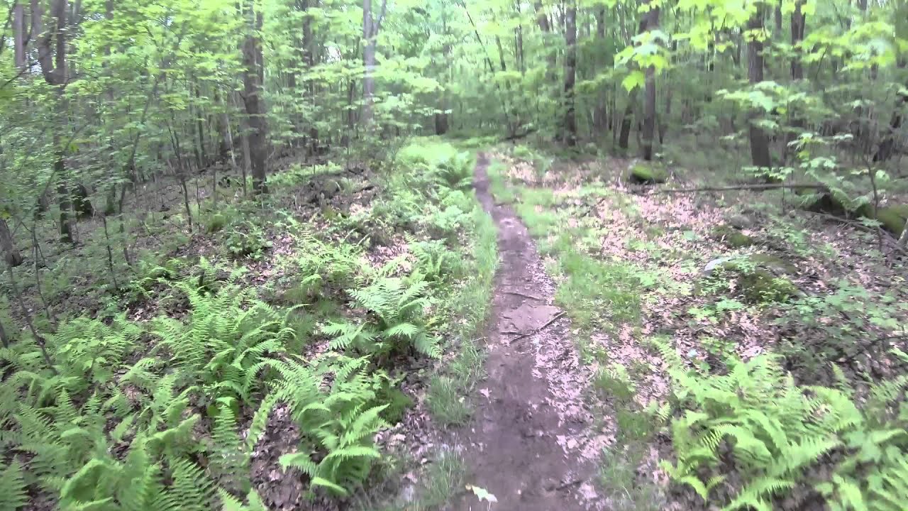 RAGNAR Appalachian Trail Run 2014 - Grant Takes a Fall - YouTube
