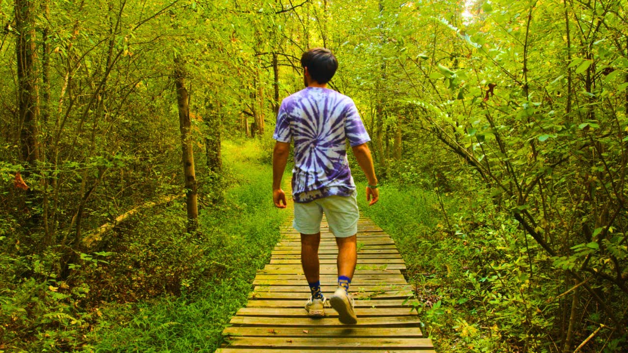 The path will reveal itself, but first you must walk it - YouTube