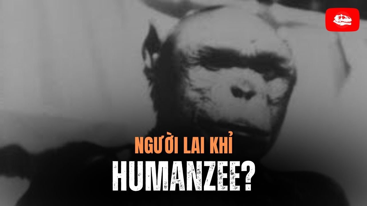 Humanzee: Con lai giữa người và tinh tinh có thật sự tồn tại? - YouTube