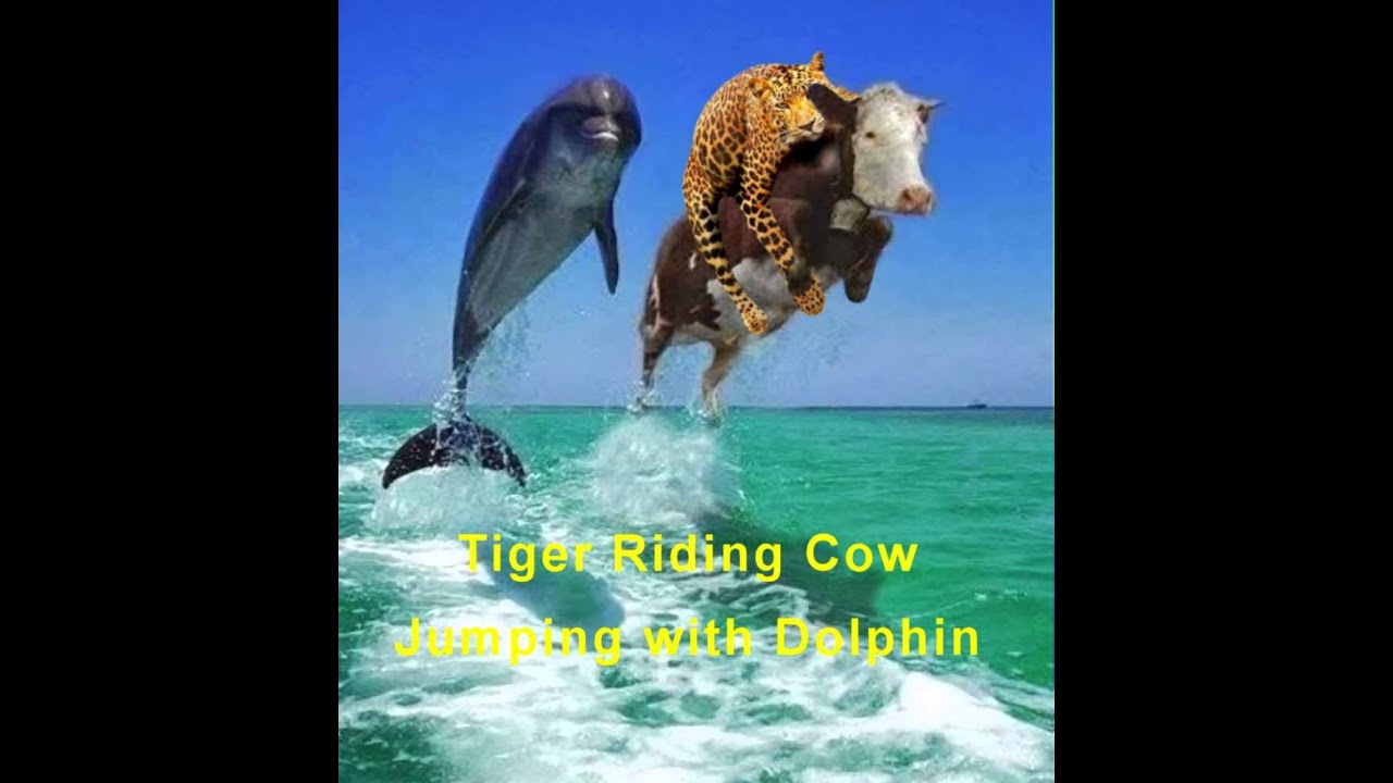 Tiger Riding Flying Cow Jumping With Dolphin (Volatility Research) #156 ...
