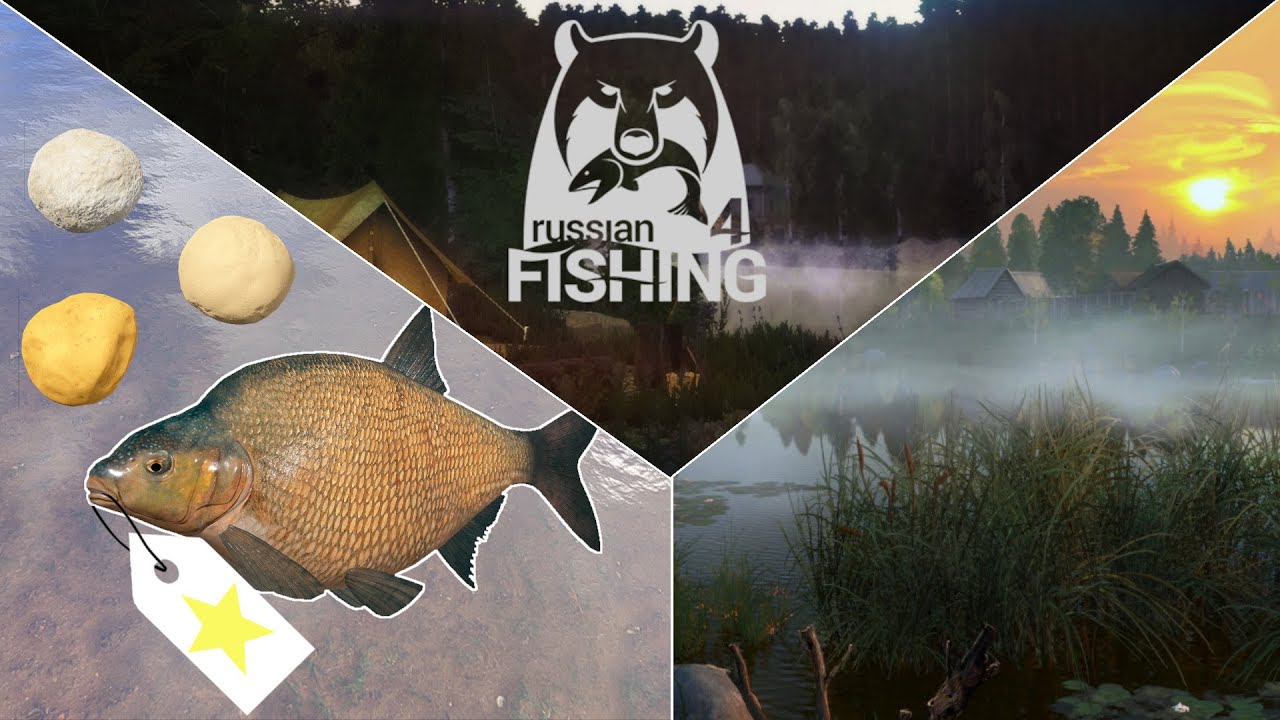 Trophyjagd Brachse - Ehrenfischer Alte Festung | Russian Fishing 4 ...