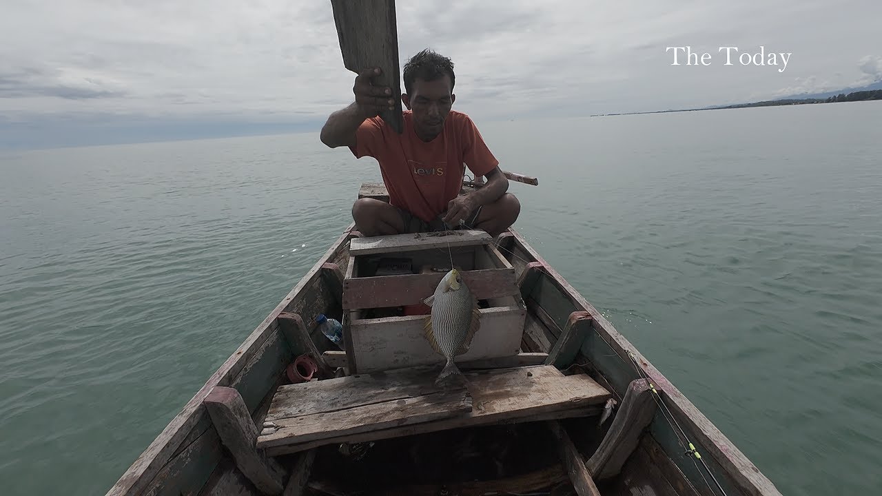 Quick Pull of the Baronang Fish - YouTube