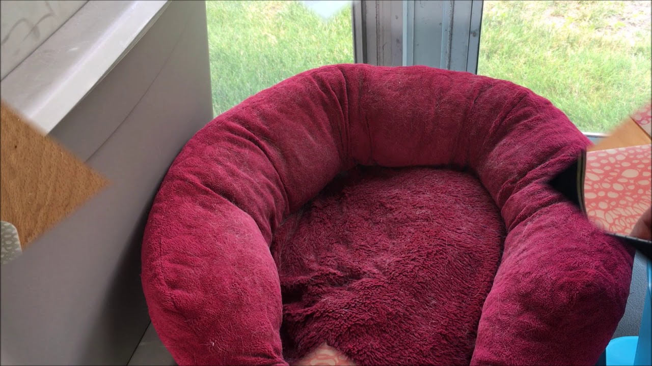 Adam's Awesome Project's Adam tries the Sticky Buddy Reuseable lint ...