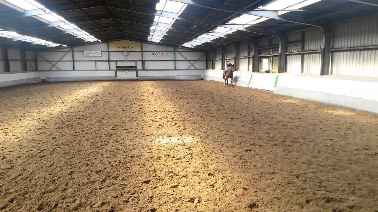 Carina F3 Manege smit - YouTube