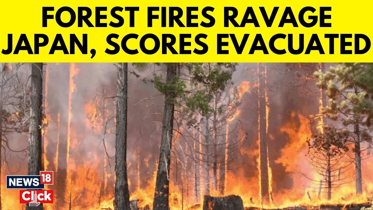 Japan News Today | Japan's Largest Wildfire In Decades Forces Mass ...