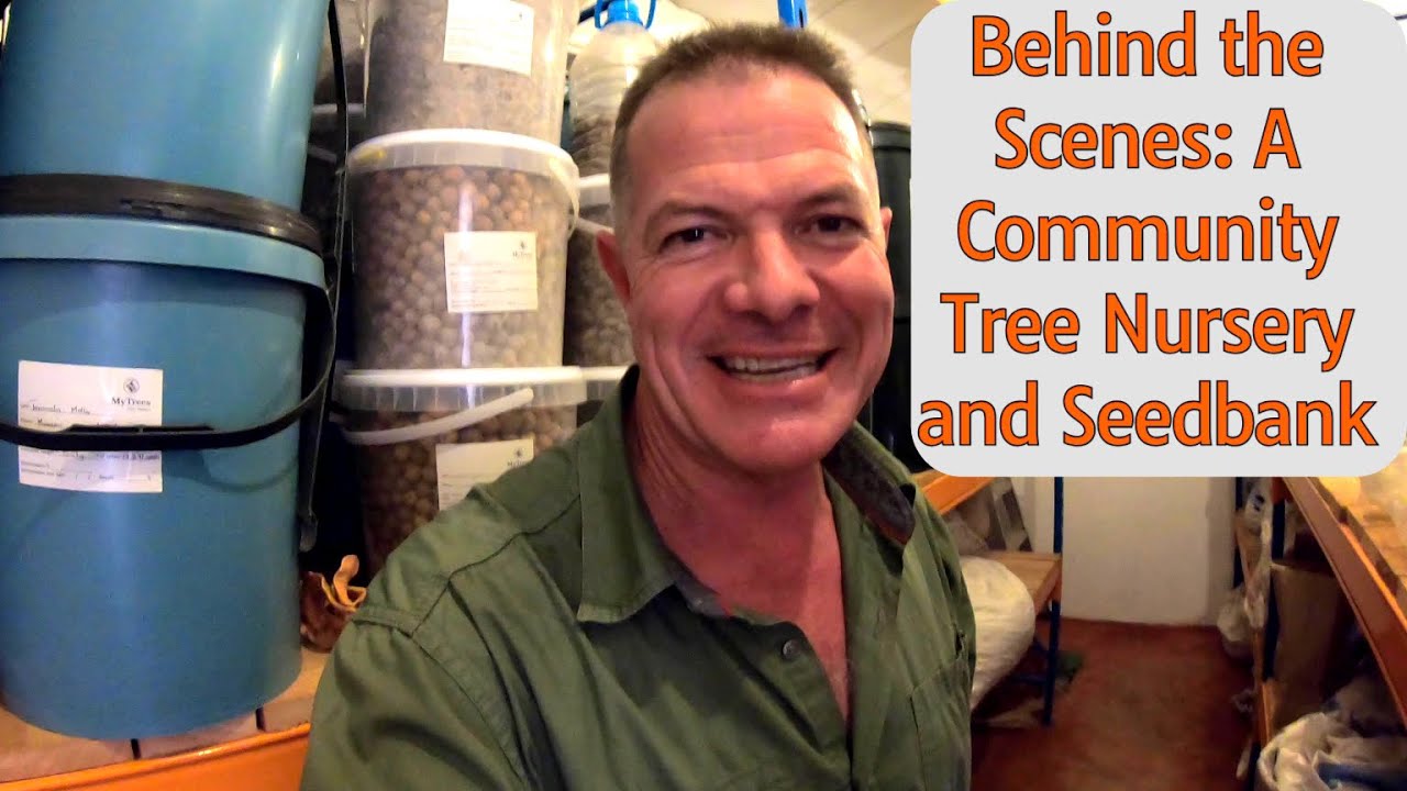 Behind the Scenes: A Community Tree Nursery and Seedbank - YouTube