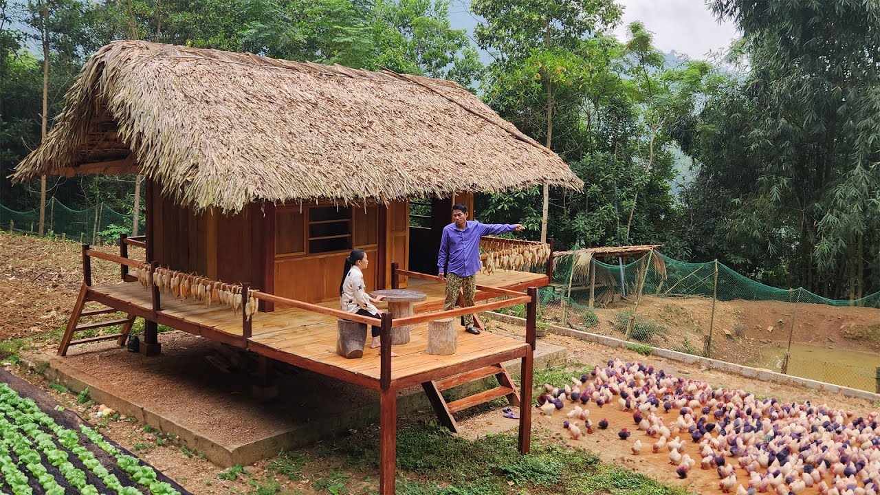 Unlock the Power of Daily Farm Life: Chicken Care & Garden Tips - YouTube