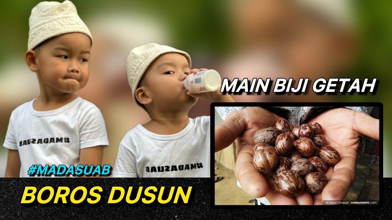 Main biji getah #borosdusun #skylerdusun #skysondusun #madasuab - YouTube