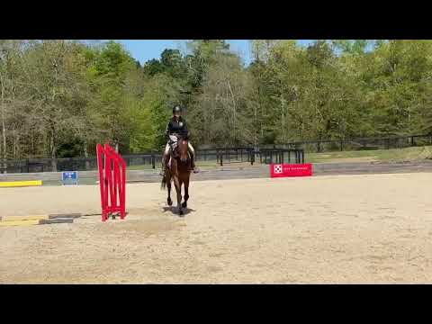 Excel Star Just Right -- flatwork (March 2020) - YouTube