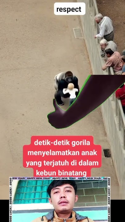 Hewan aja tau cara menolong🫡 #viralvideo #funny #reaction #reactionseadanya #react #lucu #ngakak ...