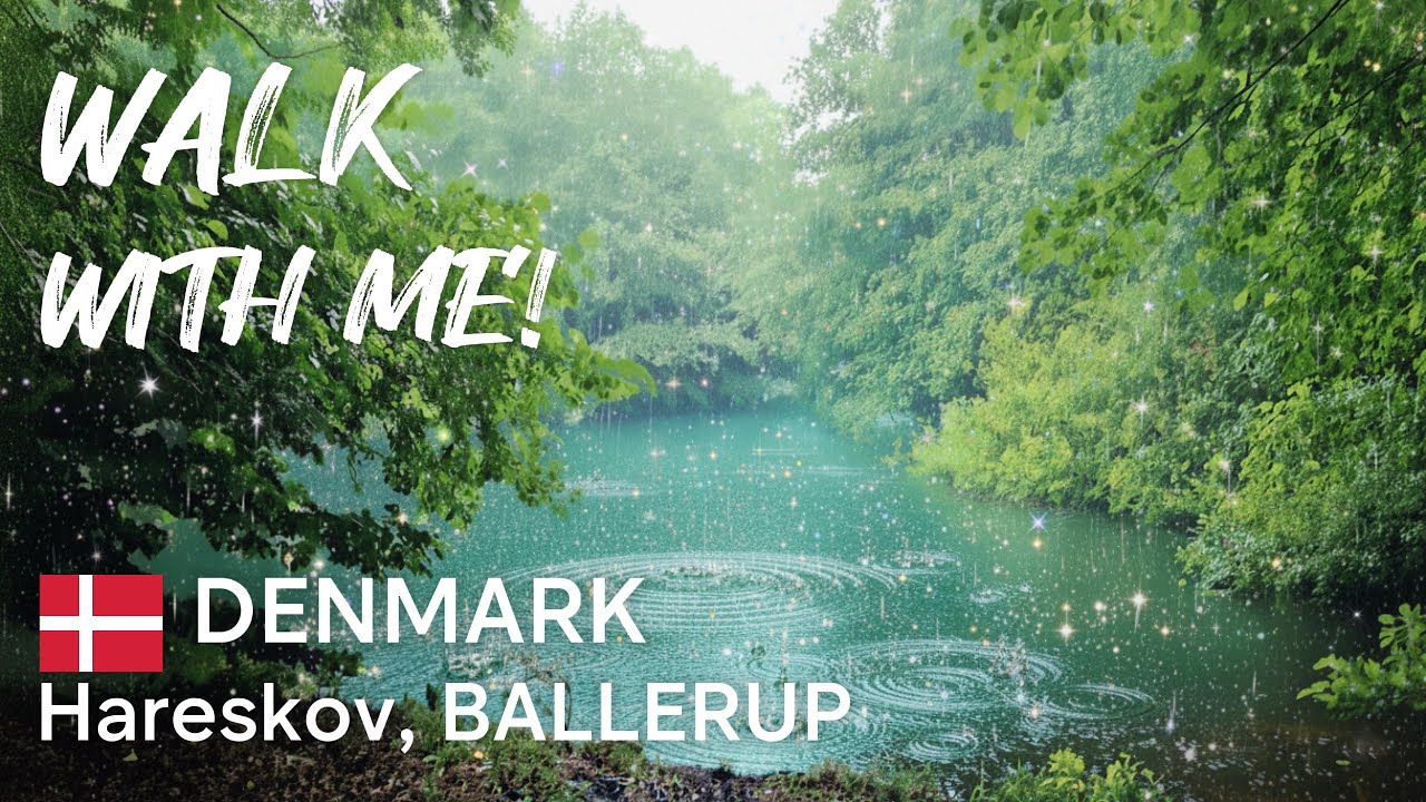 Ballerup, Denmark — Rainy Forest Walk in Hareskov | Walking Tour - YouTube