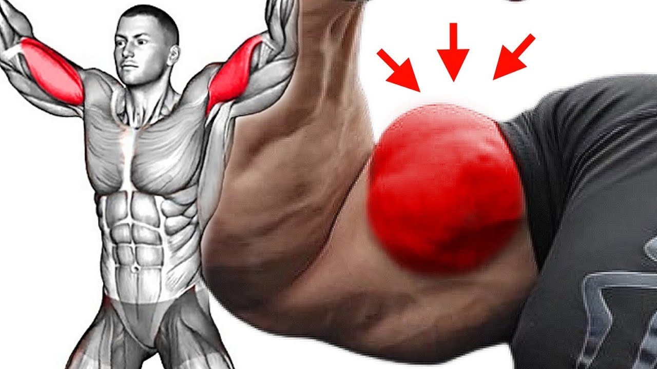 Easy Bicep Exercises for Bigger Biceps Gains - YouTube
