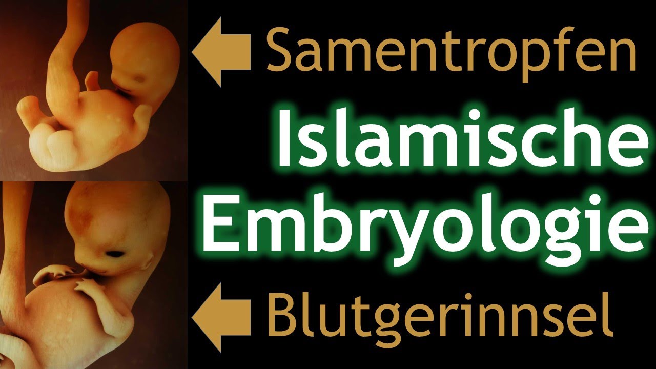 Embryologie des Islam - wissenschaftliche Katastrophen in Koran und ...