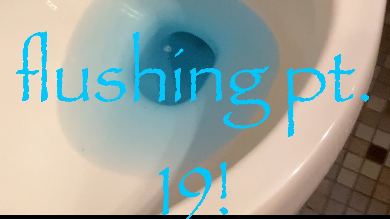 flushing toilet pt 19! - YouTube