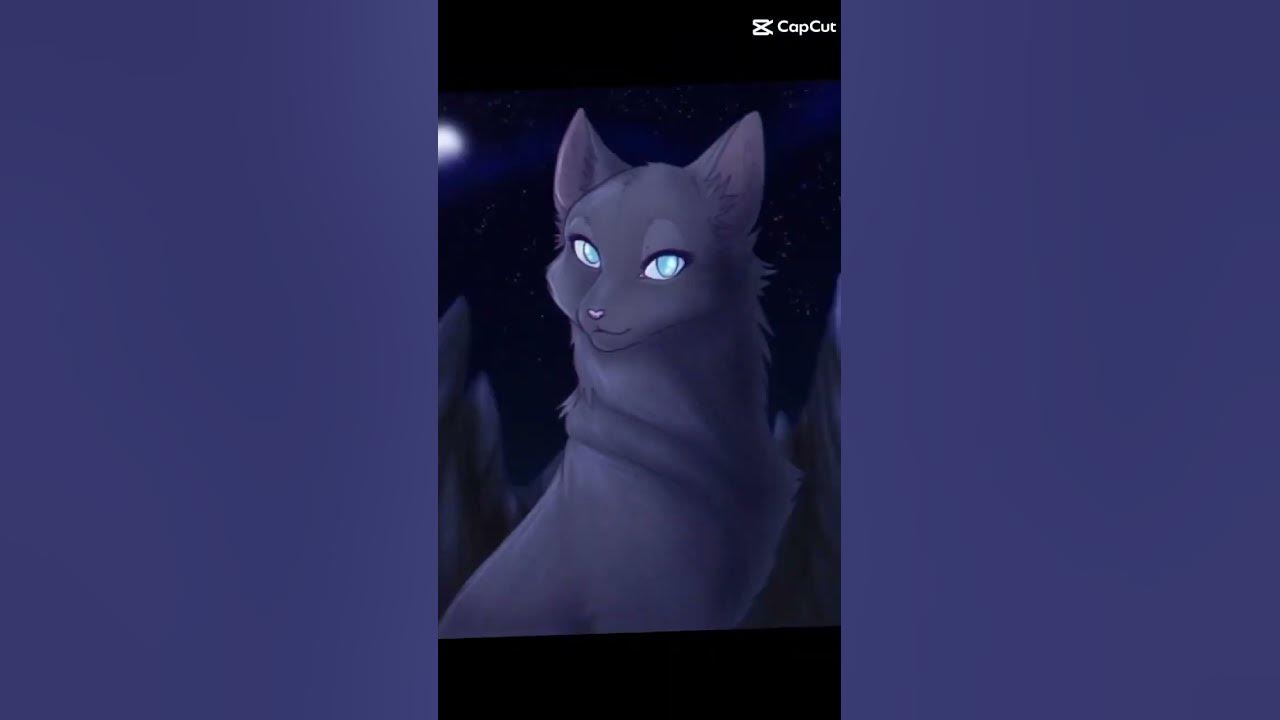 синяя звезда (коты-воители) - YouTube