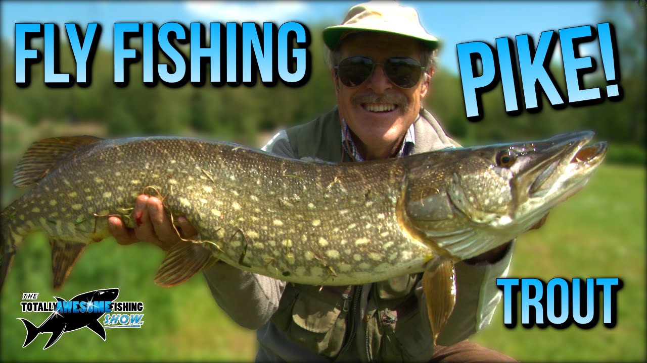 Graeme catches Huge Pike and Chunky Trout on the Fly | TAFishing - YouTube