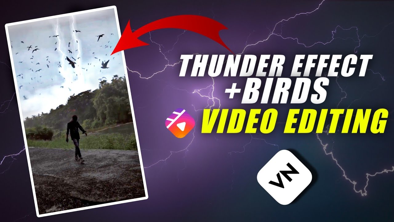 "Create Stunning Thunderstorm & Bird Effects: VN App Tutorial for ...
