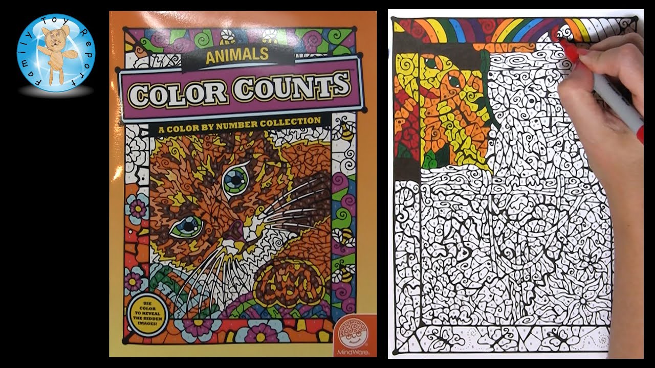 Mindware Color Counts Animals Coloring Book Review Toucan Bird - Family ...