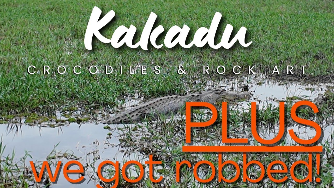 Crocs and Rock Art in KAKADU - YouTube