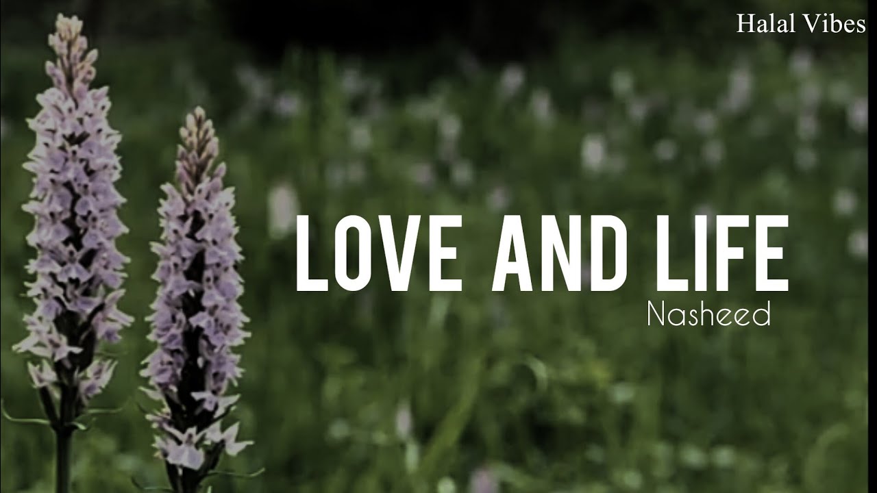 Baraa Masoud - Love and Life - | Vocals Only | Nasheed | Halal Vibes - YouTube