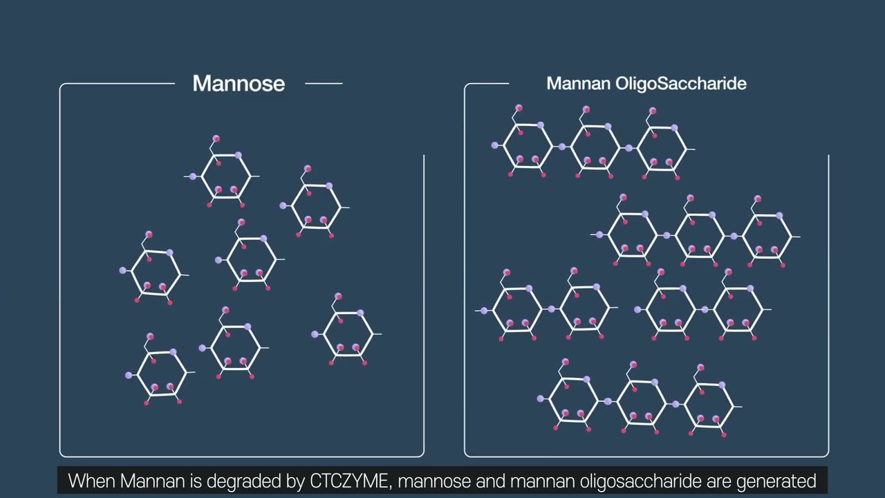 [CTCBIO] CTCZYME marketing video (All ver) - YouTube