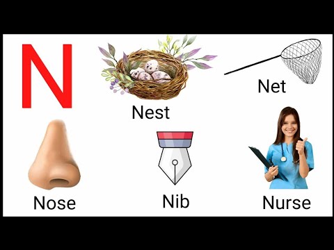 Letter N Words | Words that start with letter n with pictures | twin ...