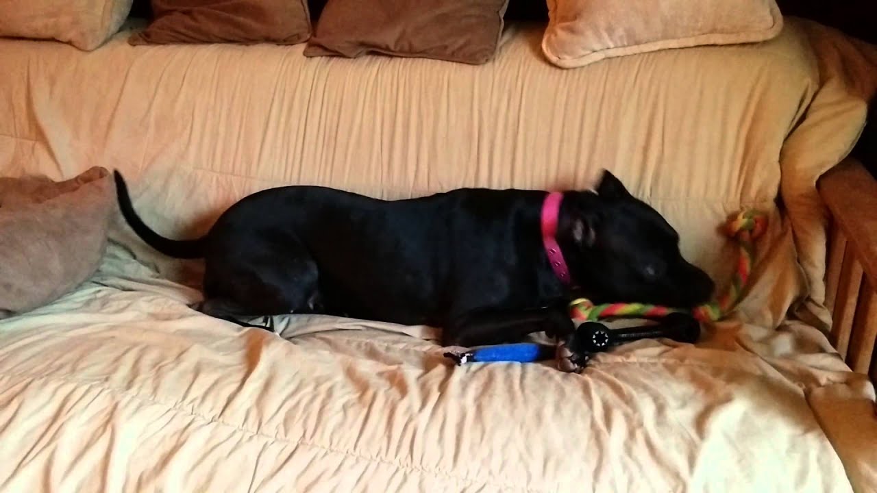 Coco Taylor - YouTube