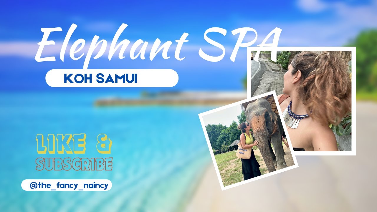 The BEST DAY in Koh Samui/Elephant SPA #thailand #travel #phiphiislands ...
