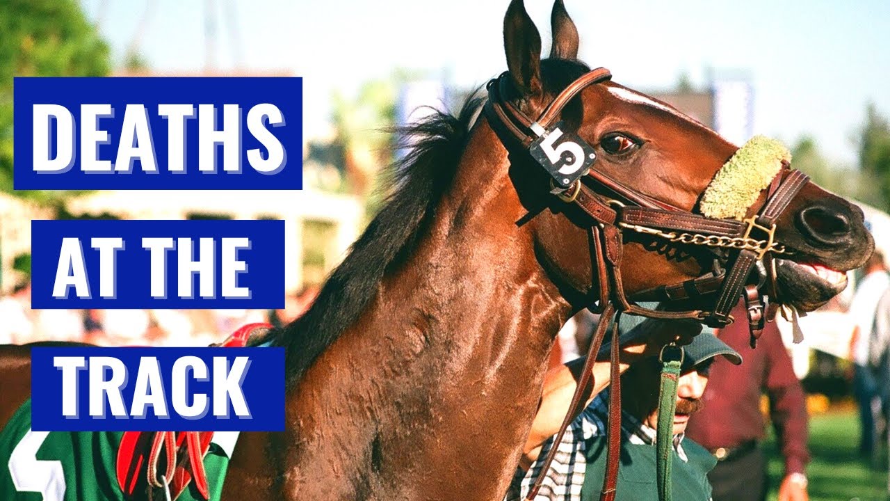 Behind The Deaths Of Horses At Churchill Downs- Is Horse Racing Done ...