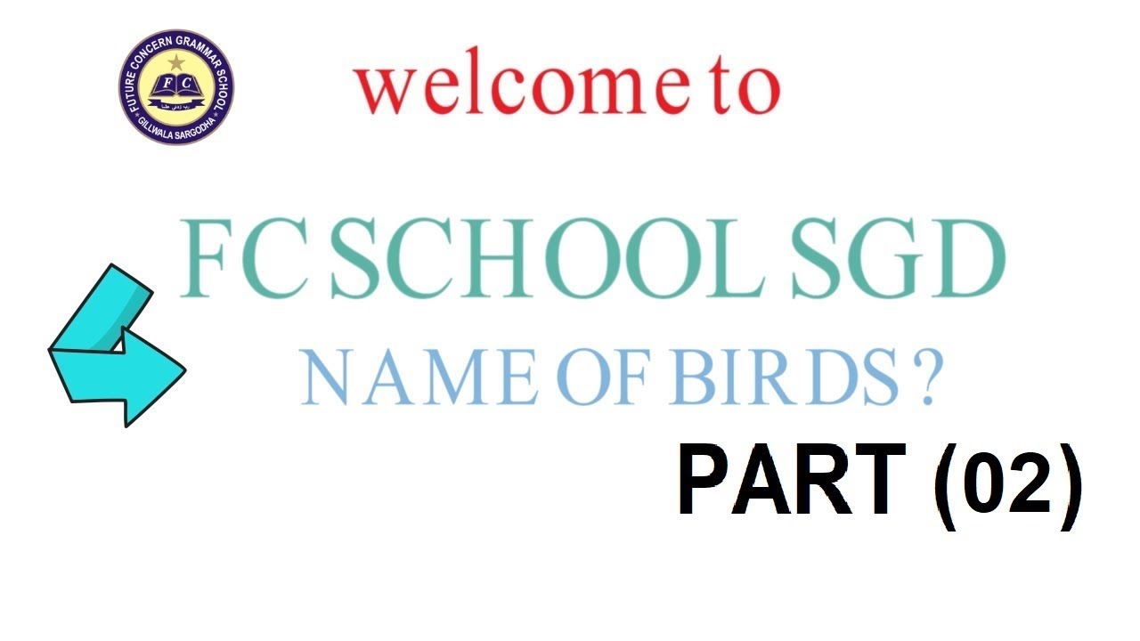 Birds Name N to Z (Part 02) | FCG School | FCGV 1318 - YouTube