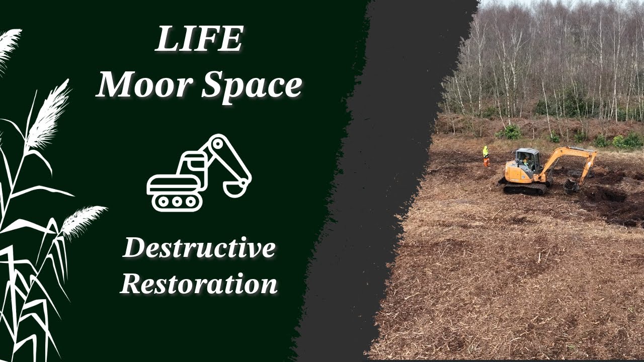 Restoring Thorne Moors - A destructive process - YouTube